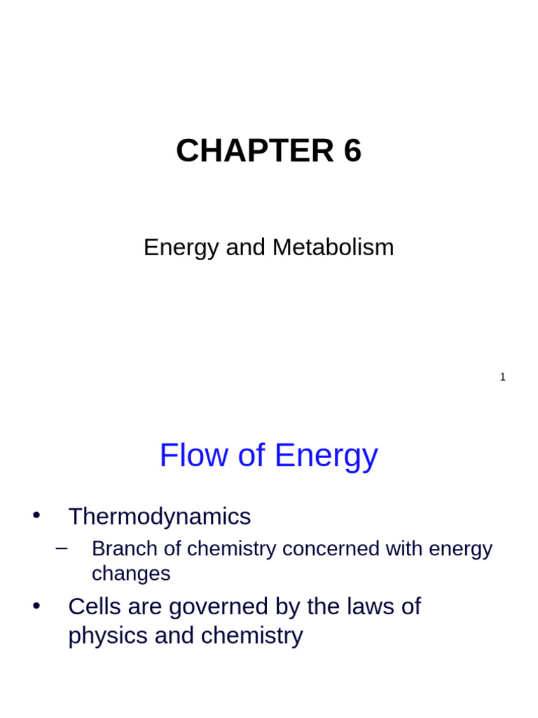 Chapt06 Lecture Animation | PDF