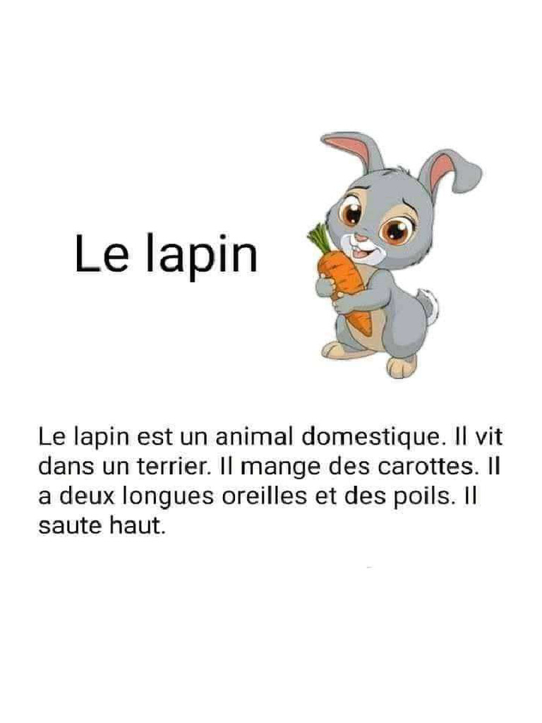 Description Animal | PDF