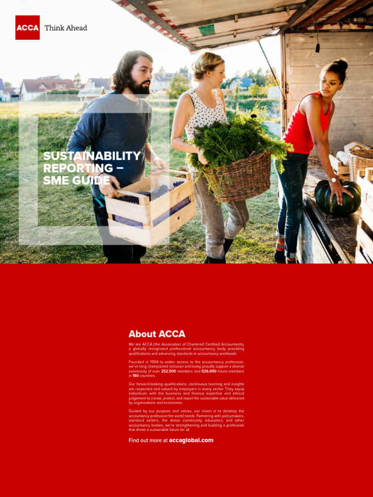 Sustainability Reporting SME Guide 6th Final | PDF
