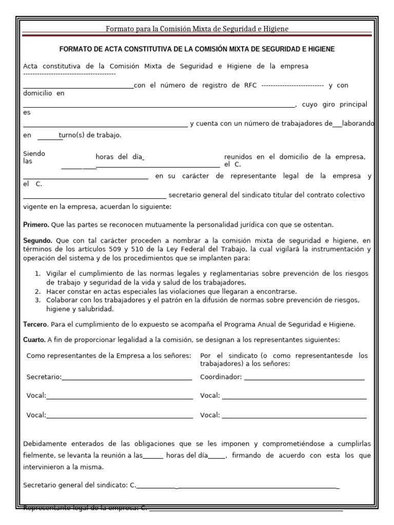 Formato Acta Constitutiva CMSH | PDF