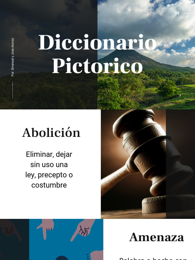 Diccionario Pictorico | PDF