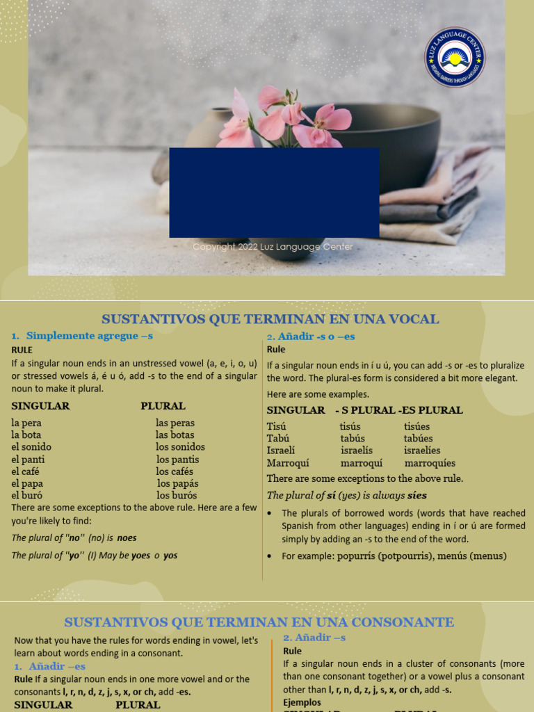 Plural of Nouns (Spanish) | PDF | Plural | Word