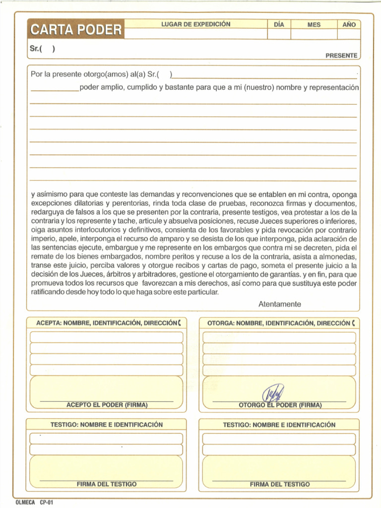 CARTA PODER | PDF