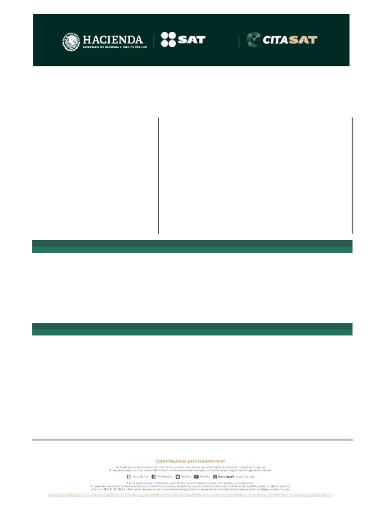 SAT Appointment for Business Entities | PDF