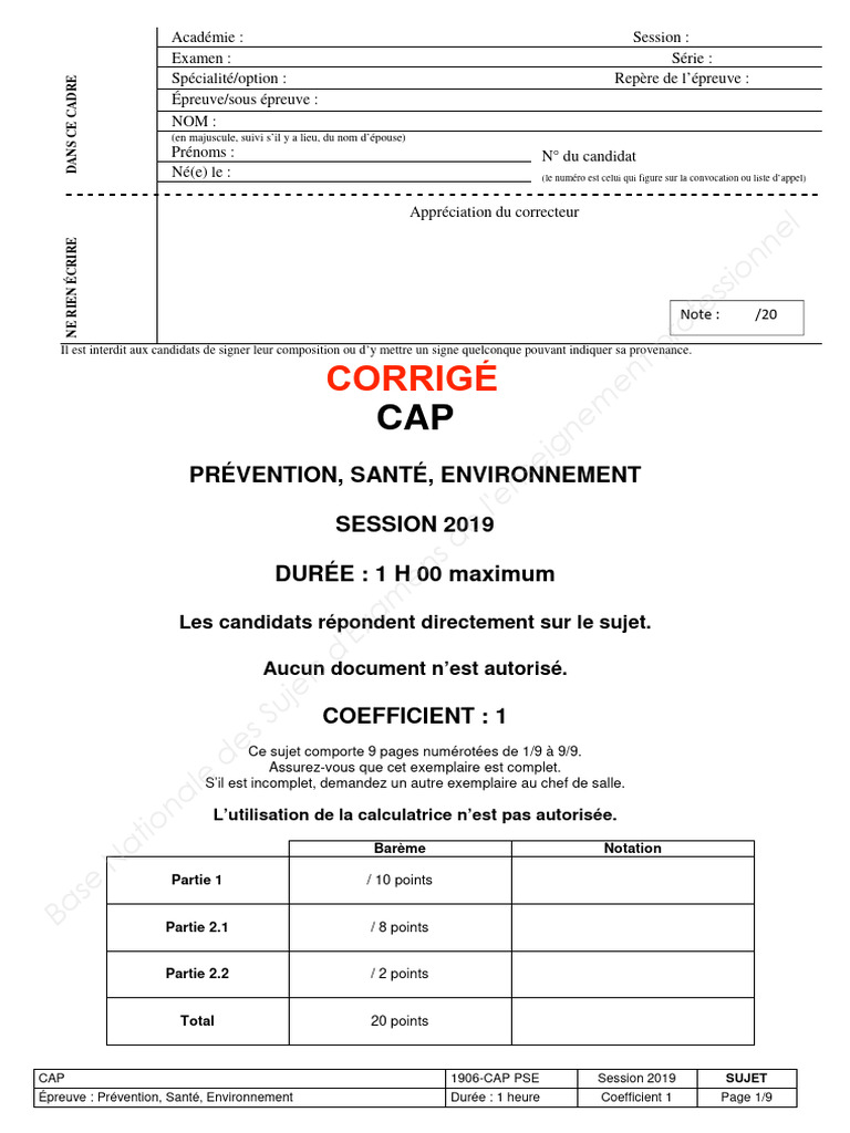 Pse Cap Petite Enfance Aepe 2019 Annale Correction | PDF