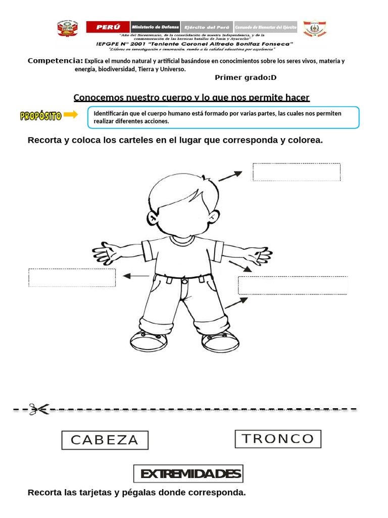 Guia de Aprendizaje Conocemos Nuestro Cuerpo | PDF