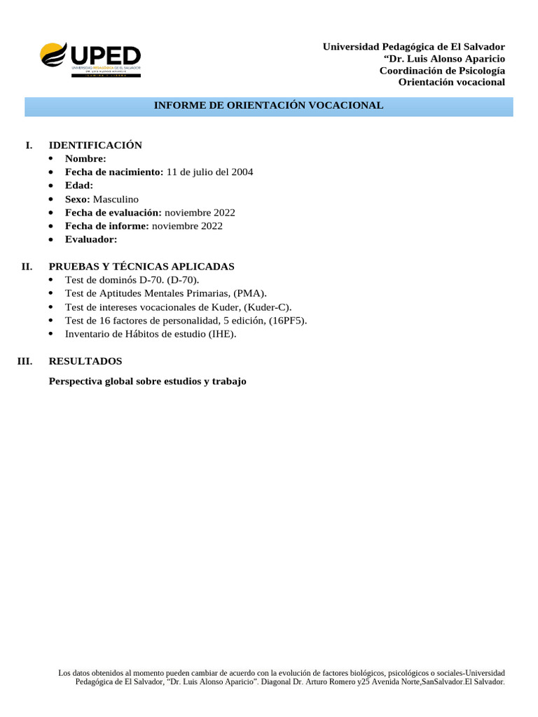 Modelo de Informe | PDF