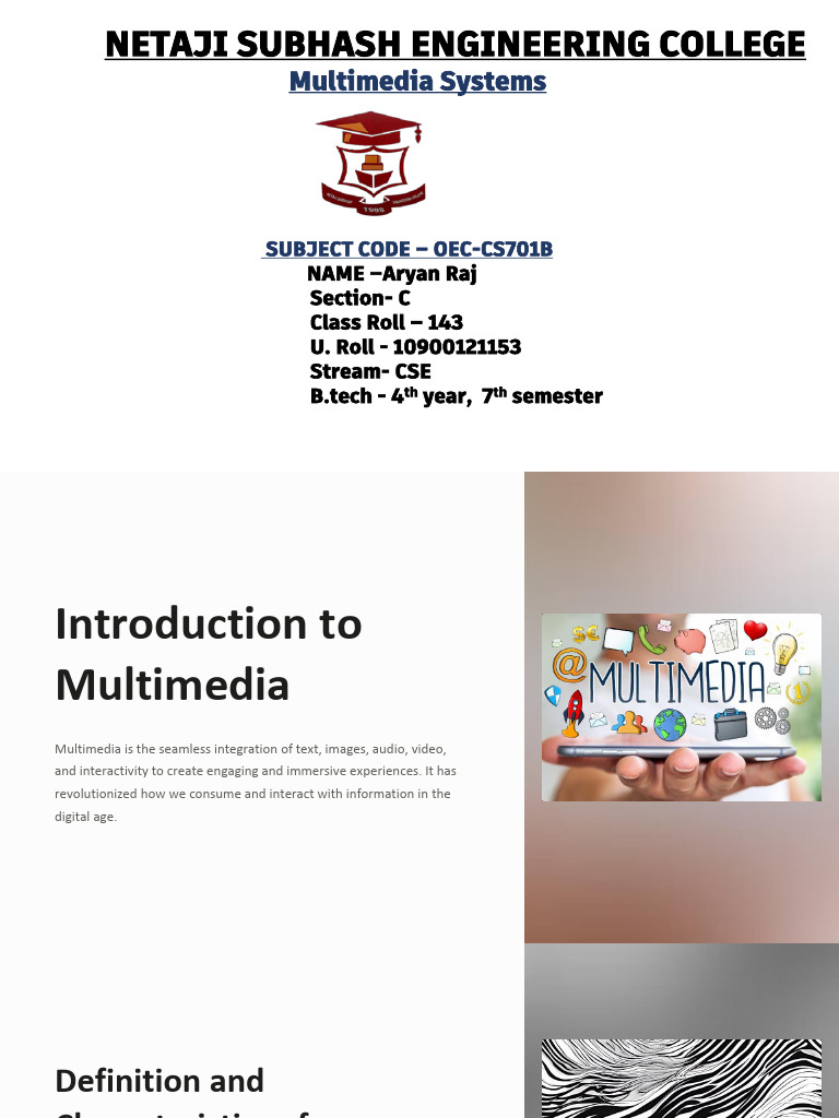 Aryan-Raj | PDF | Multimedia | Codec