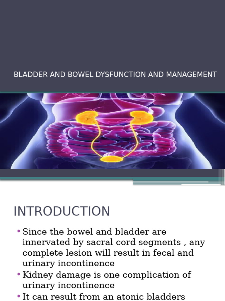 Bladder and Bowel Dysfunction and Management | PDF