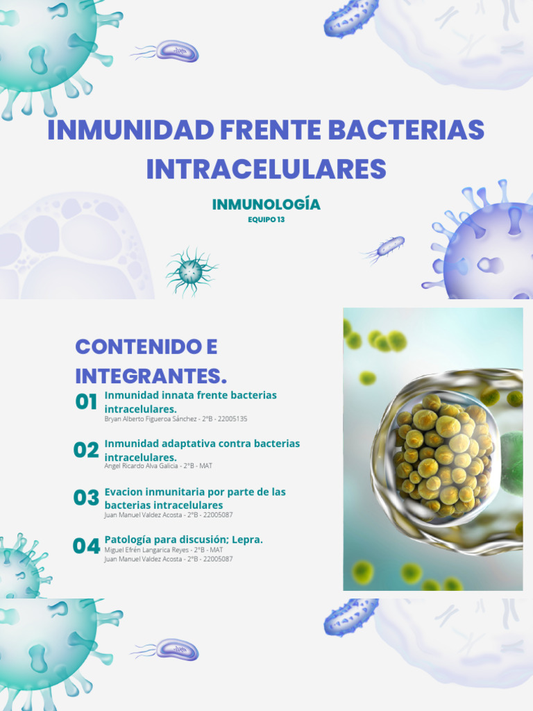 Inmunidad Contra Bacterias Intracelulares | PDF