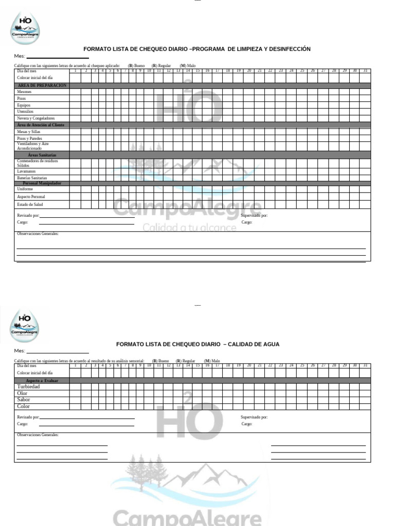 Formatos Plan de Saneamiento | PDF
