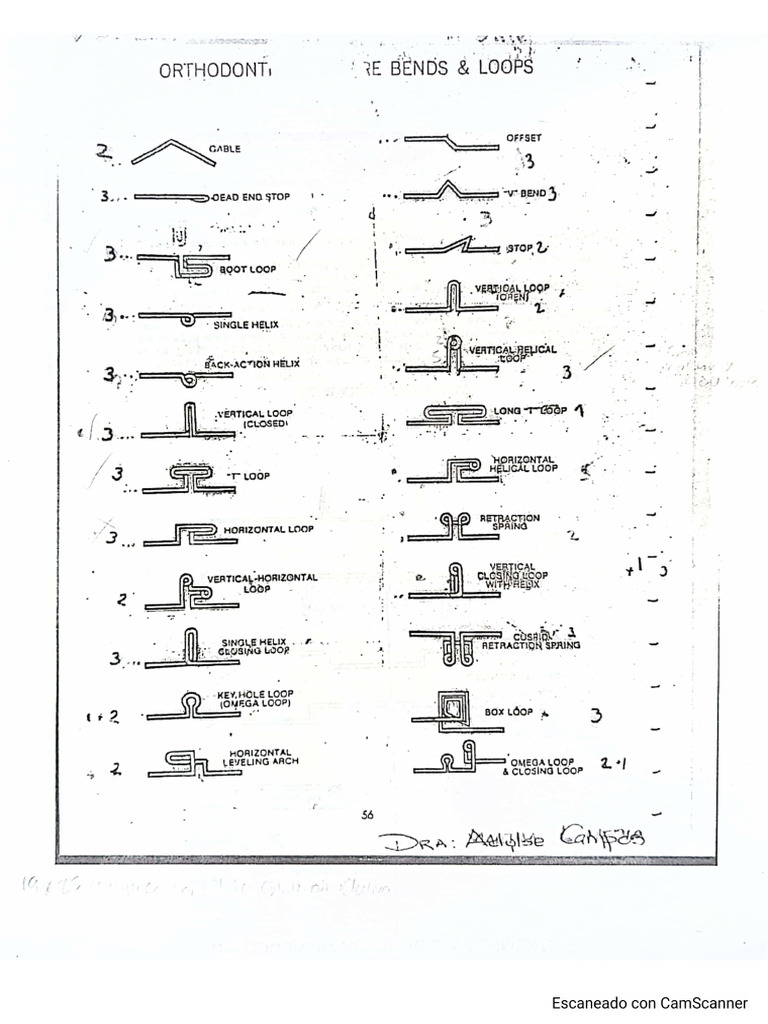 Dobleces en Ortodoncia | PDF
