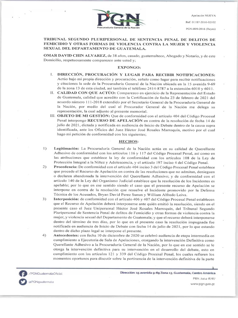 Apelación Generica-Pgn | PDF