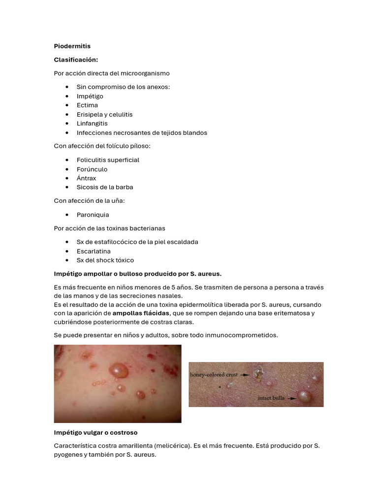 Guía Completa sobre Piodermitis y Tratamientos | PDF | Medicina CLINICA ...