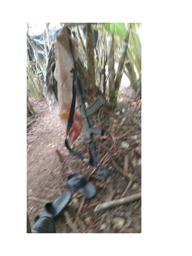 Documento (2) Op2 | PDF