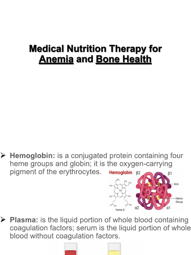 Chapter 5 Medical Nutrition Therapy For Anemia and Bone Health | PDF