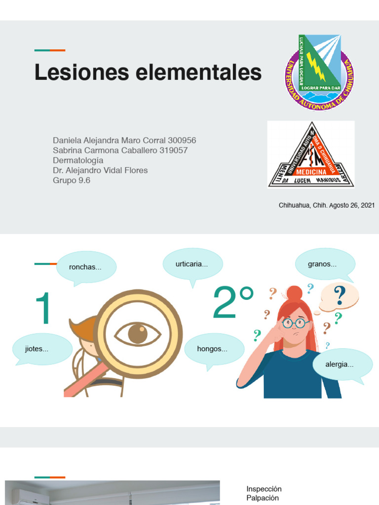 Lesiones Elementales | PDF