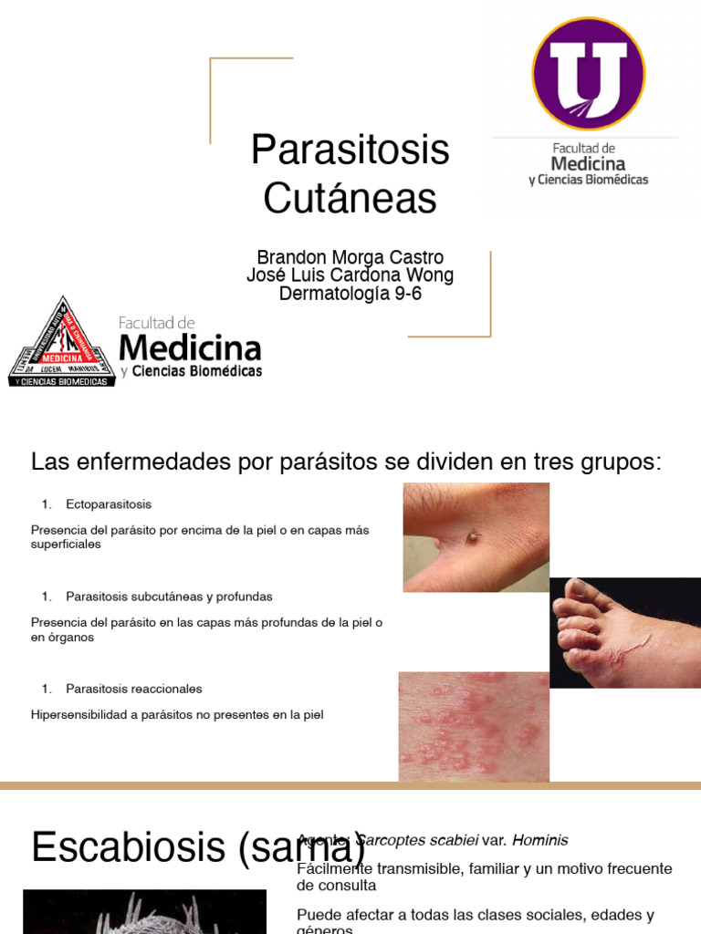 Parasitosis Cutánea | PDF