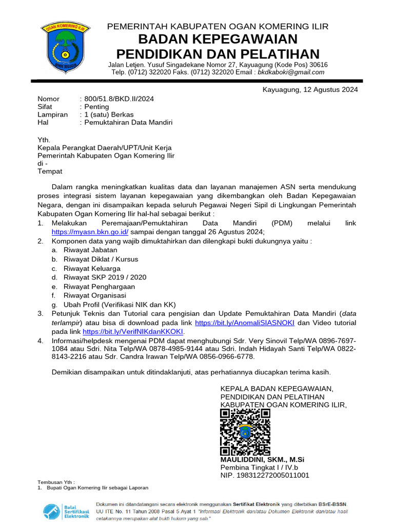 Surat Pemutakhiran Data Mandiri MYASN BKN Tahun 2024 | PDF