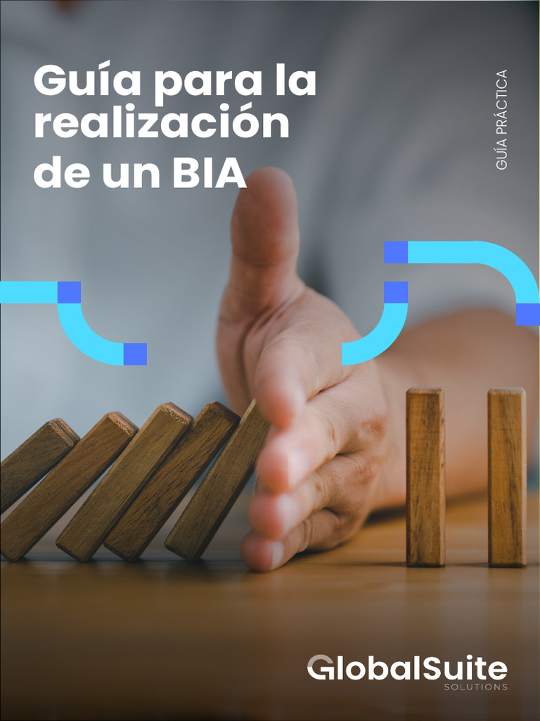 Guia Como Realizar Un BIA | PDF