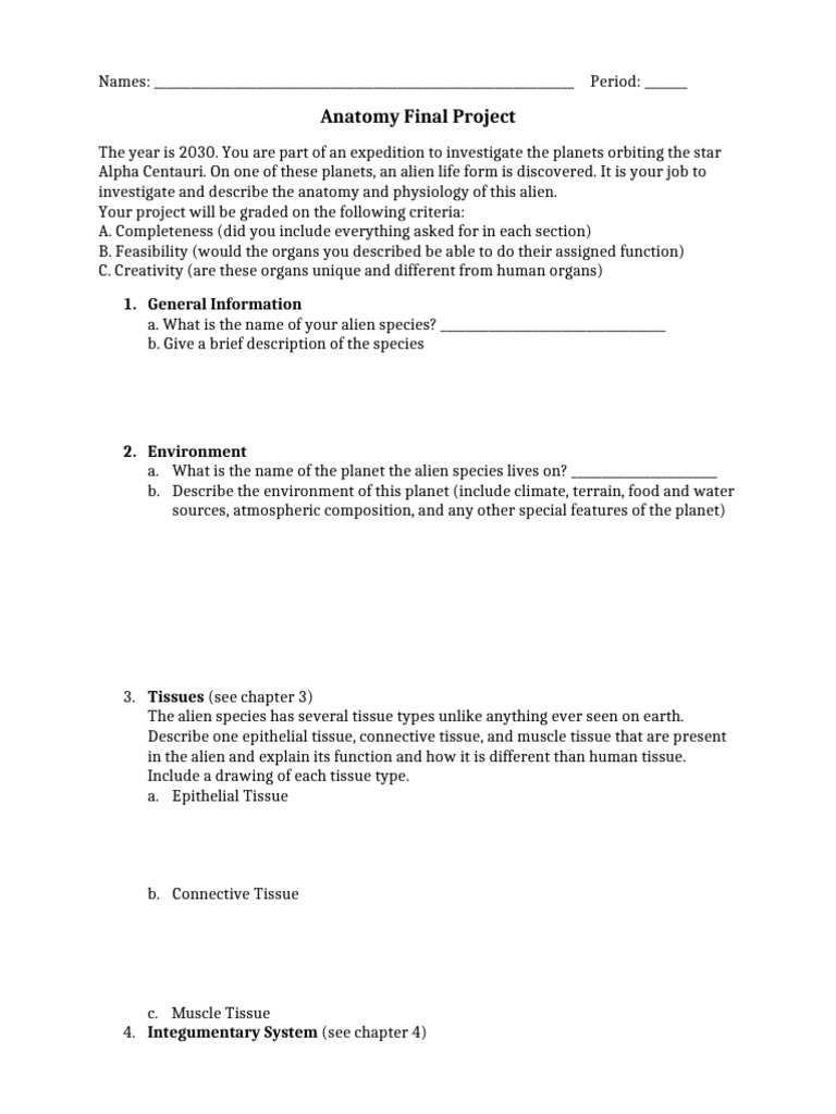 Alien Anatomy Project Guidelines | PDF | Human Body | Blood