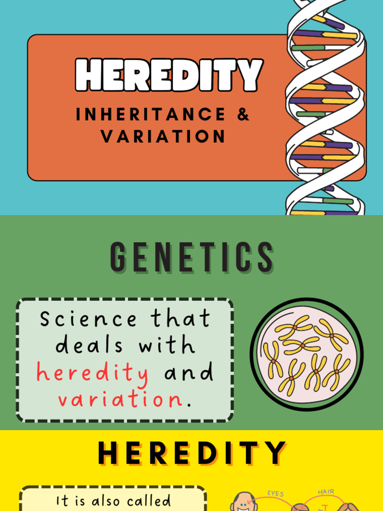 Heredity Inheritance and Variation | PDF