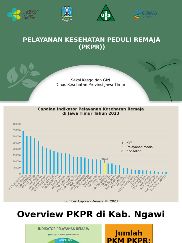 Pelayanan PKPR | PDF
