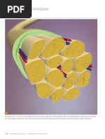 Screendem P KIrwan Spondyloarthropathy | PDF