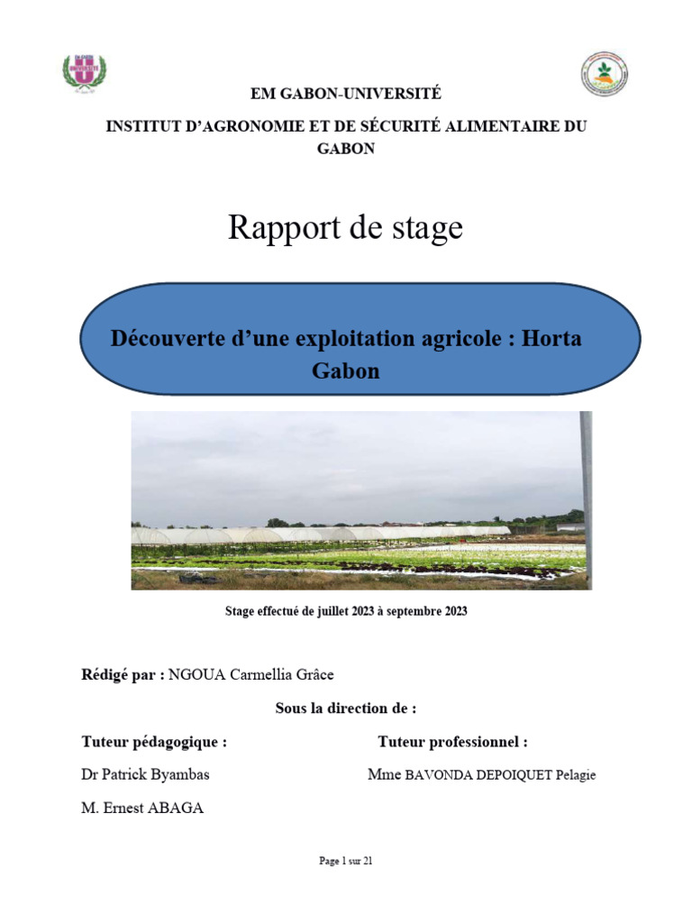 Copie de Rs - Compressed | PDF