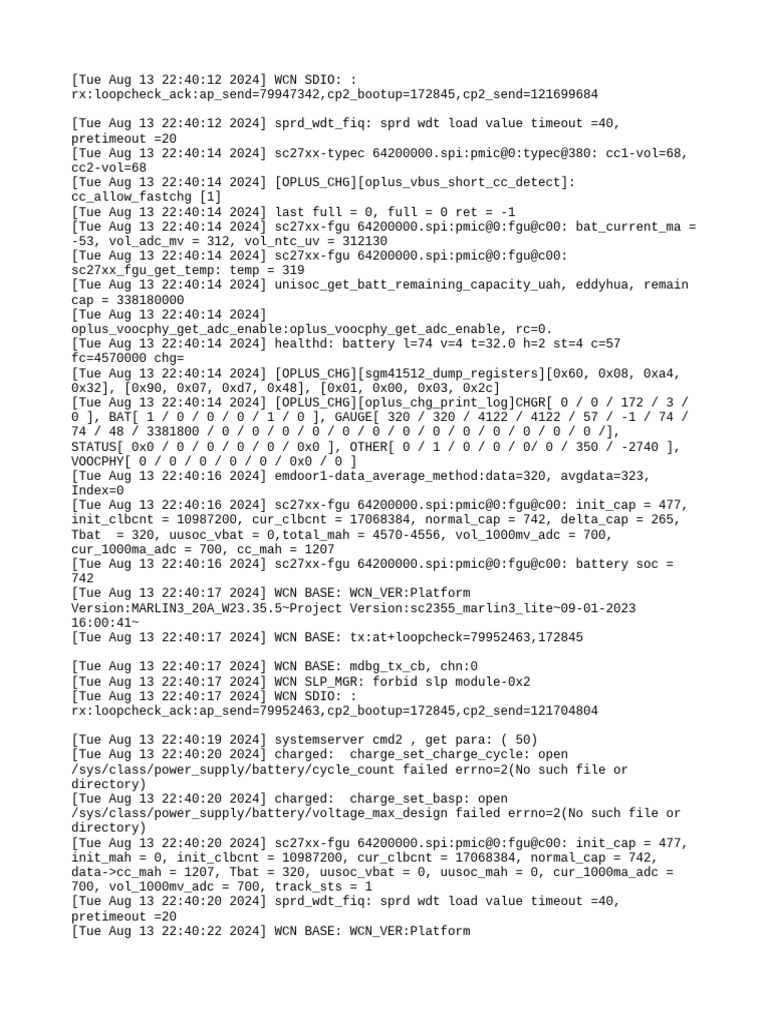 Standby Kernel Log 2024 0813 233118 | PDF