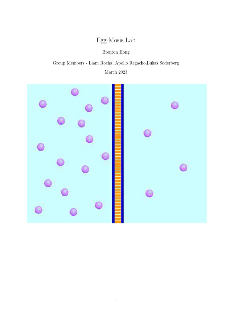 Egg_Lab (1) | PDF