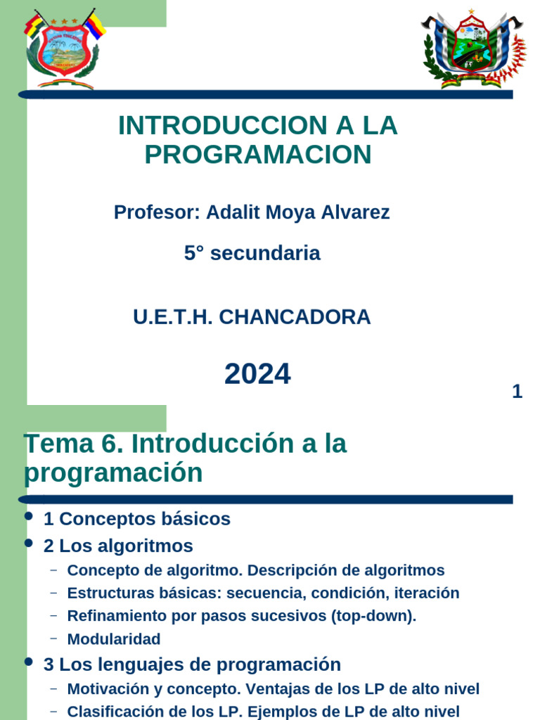 Introduccion A La Programacion | PDF