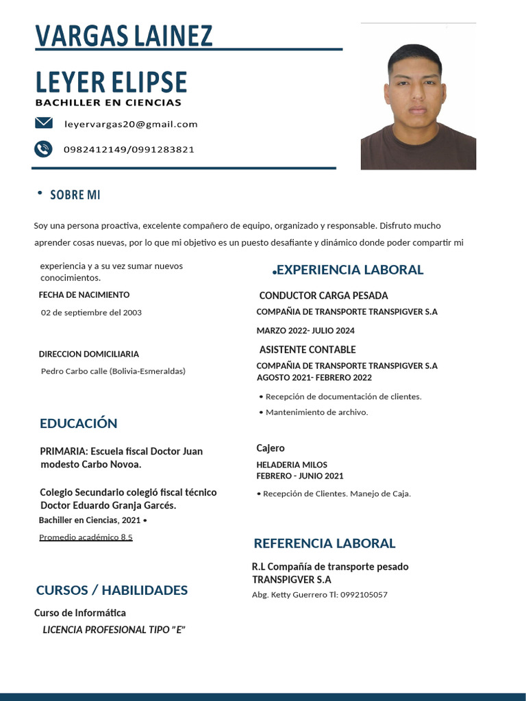 CV Vargas Leyer | PDF