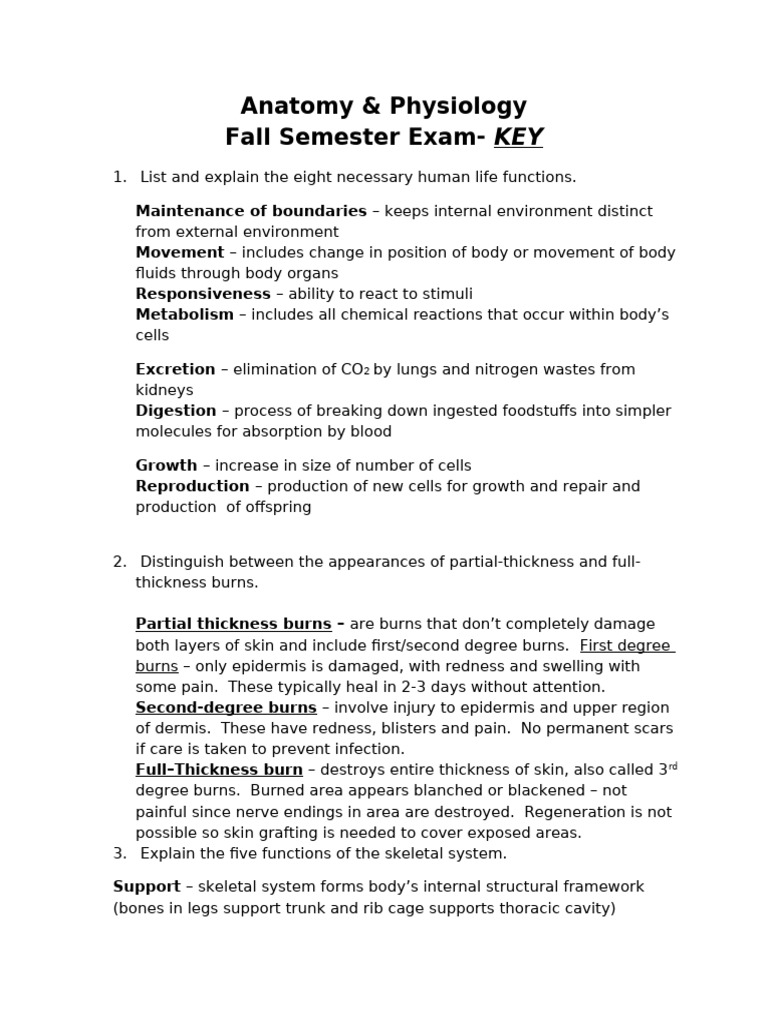 A&P Fall Semester Exam - KEY | PDF | Bone | Self-Improvement