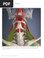 Trigger Point Muscle Pain Guide | PDF | Anatomical Terms Of Motion ...