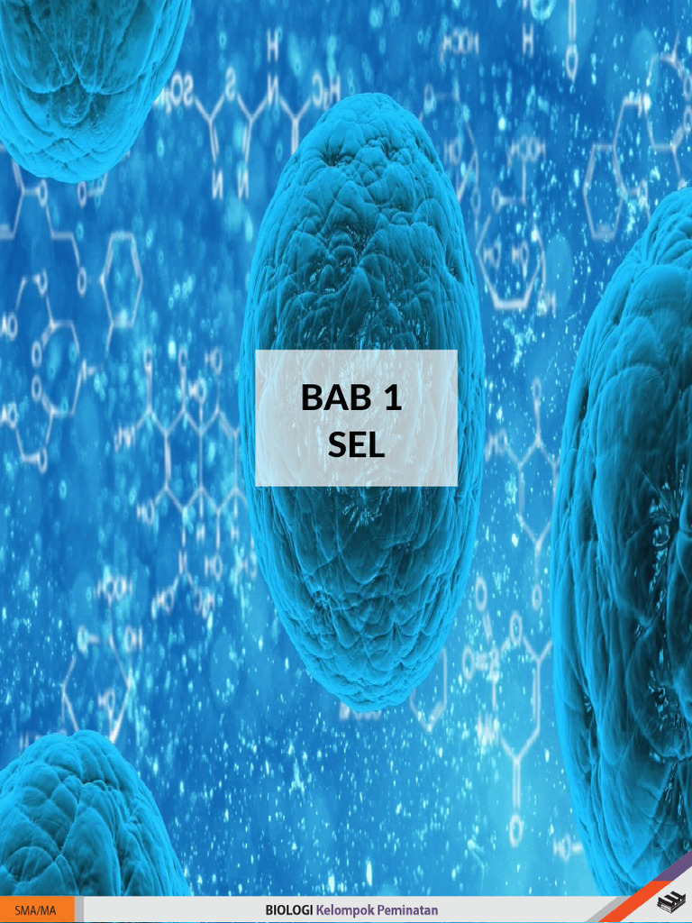 1 - Sel P1 | PDF