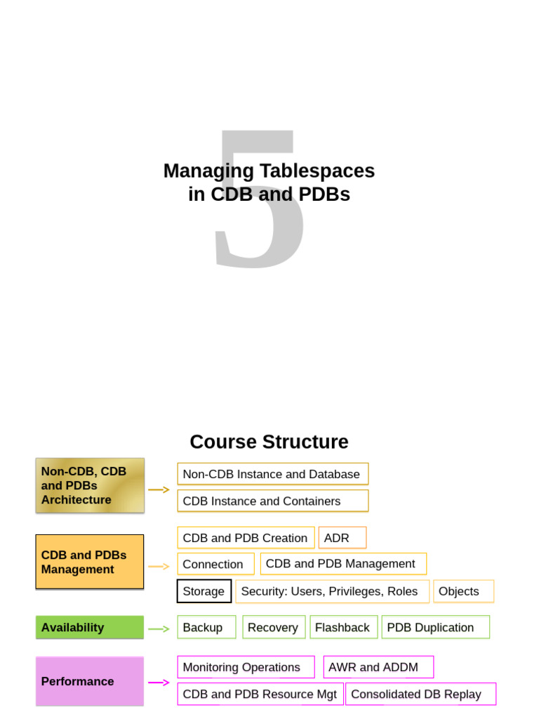 Les05 - Tablespace Management in Multitenant Databases | PDF