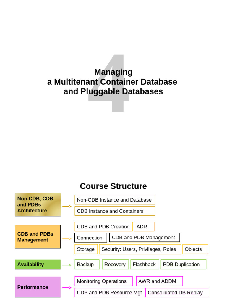 Les04 - Managing Multitenant Databases | PDF