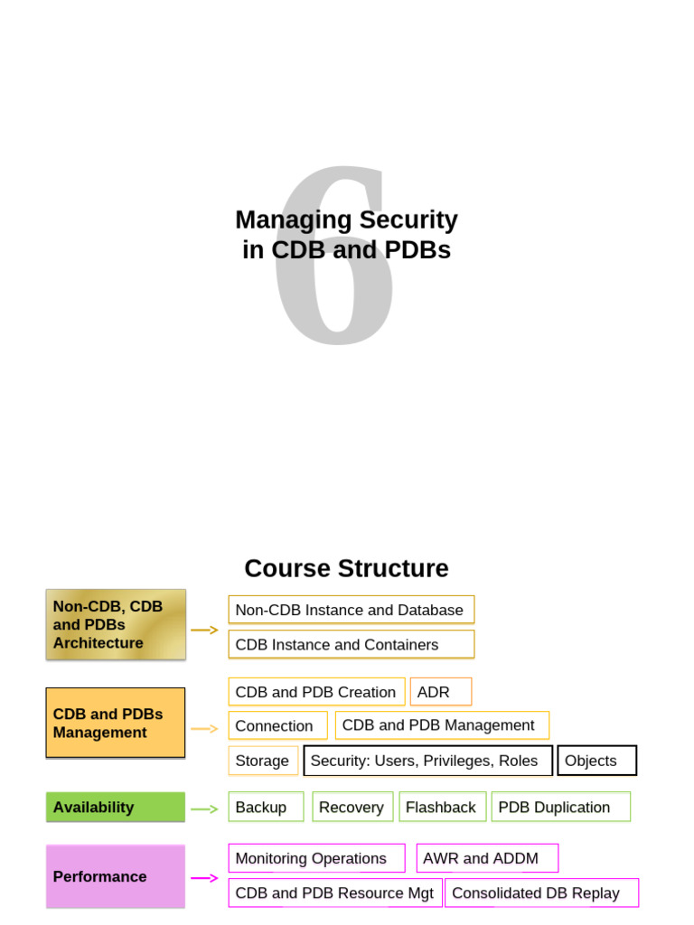Les06_User Management in Multitenant Databases | PDF