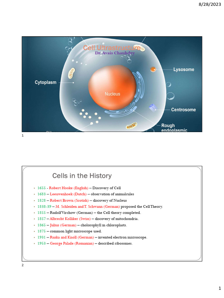 Cell Ultrastructure - 23 | PDF