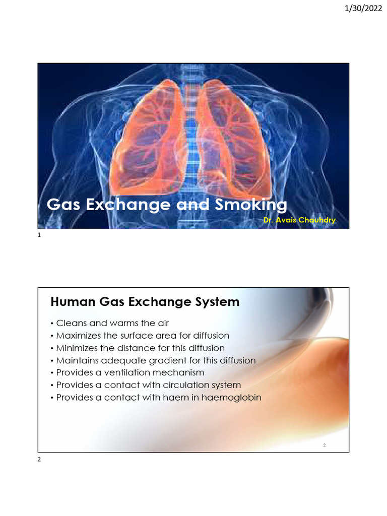 Gas Exchange 1 | PDF