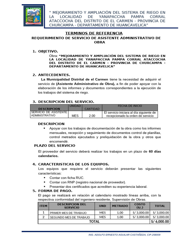 24.TDR de Asistente | PDF