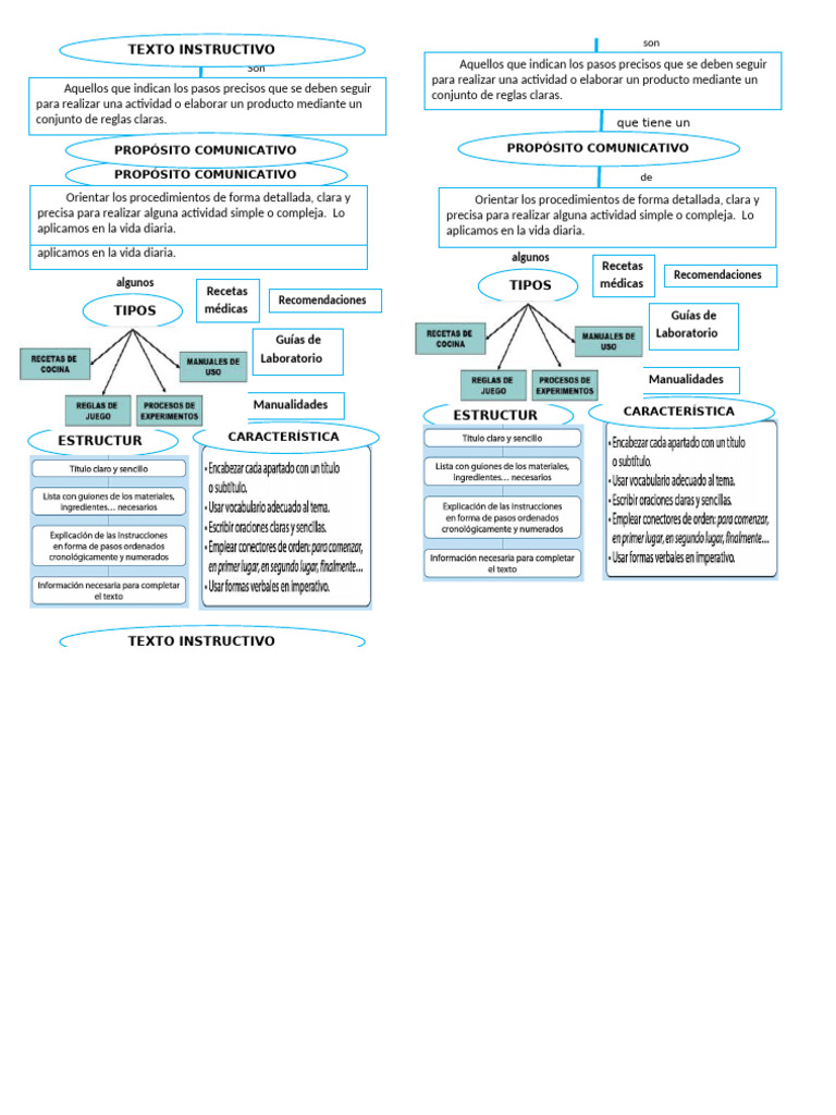Texto Instructivo - Definicion - Mapa | PDF