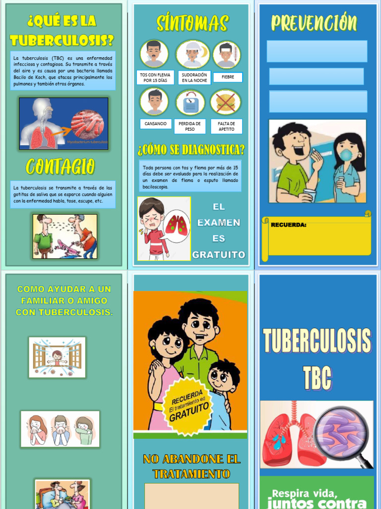 Triptico Tuberculosis | PDF