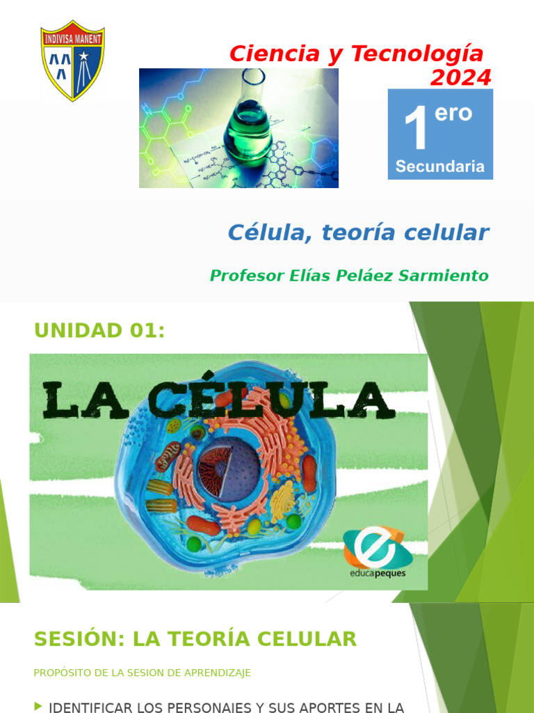 La Celula, Teoría Celular, Tipos y Estructura | PDF