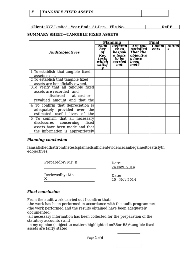 4043PPE - Audit Program | PDF