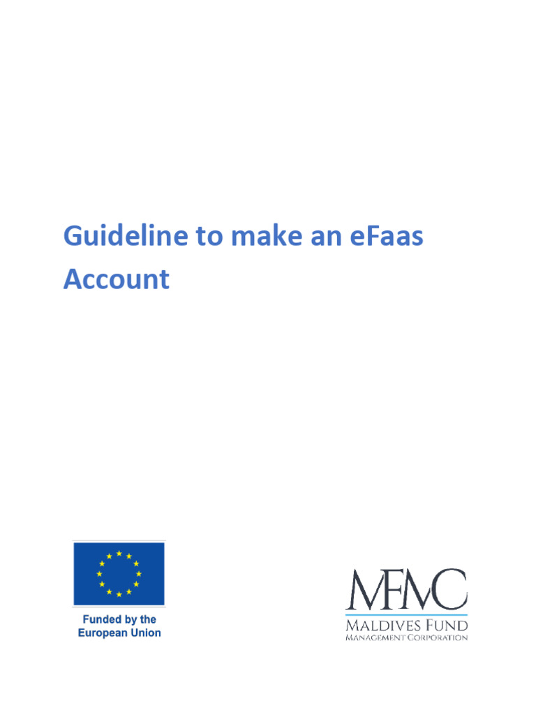 Efaas User Guide EN | PDF