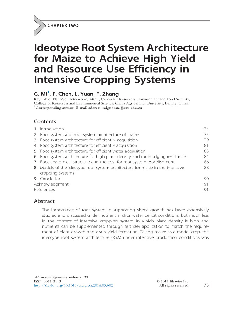 Maize Yiela d2 | PDF