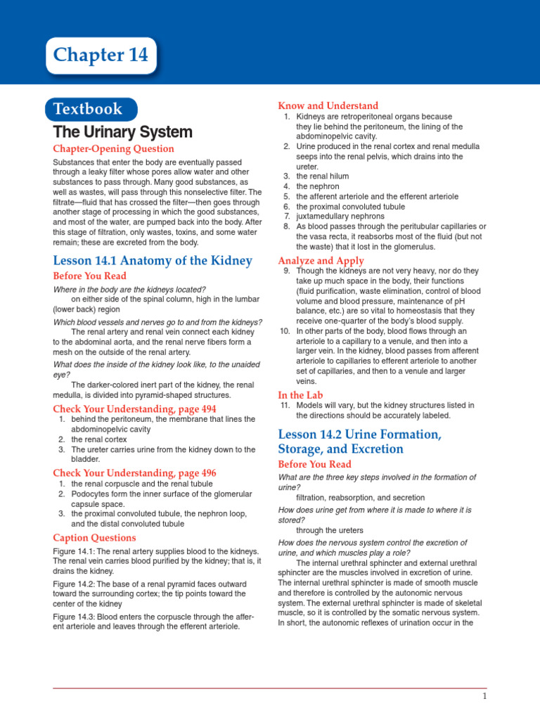 ch14-ch14 Answerkey | PDF