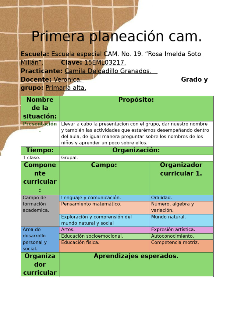 Planeación de Actividades en CAM 19 | PDF | Educación primaria | Cognición